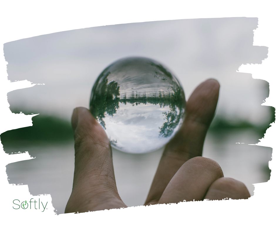 Transparent is the New Green: Risks of Greenwashing - Softly